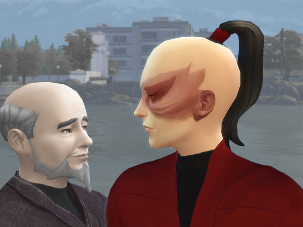 I'm making Avatar the Last Airbender CC for Sims 4! Enjoy :-) : r/Sims4